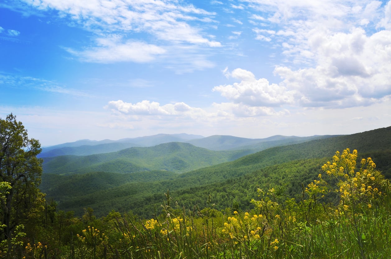 5 Awesome State Parks In Virginia For Rv Camping Drivin And Vibin