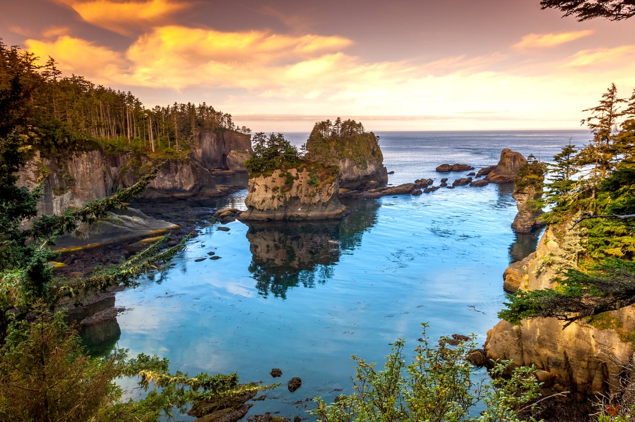 A Journey to Neah Bay: Finding Our Return to Innocence - Drivin' & Vibin'