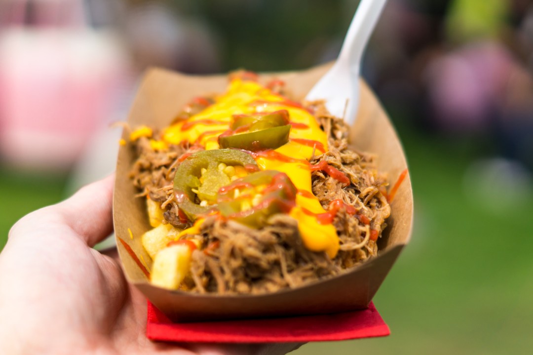 The Garbage Plate: New York's Culinary Curiosity - Drivin' & Vibin'