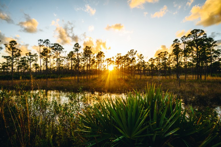 Florida Is Pimpin' Out Their State Parks - Drivin' & Vibin'